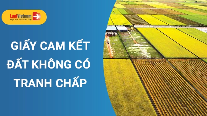 Mẫy Giấy cam kết không có tranh chấp đất đai mới nhất
