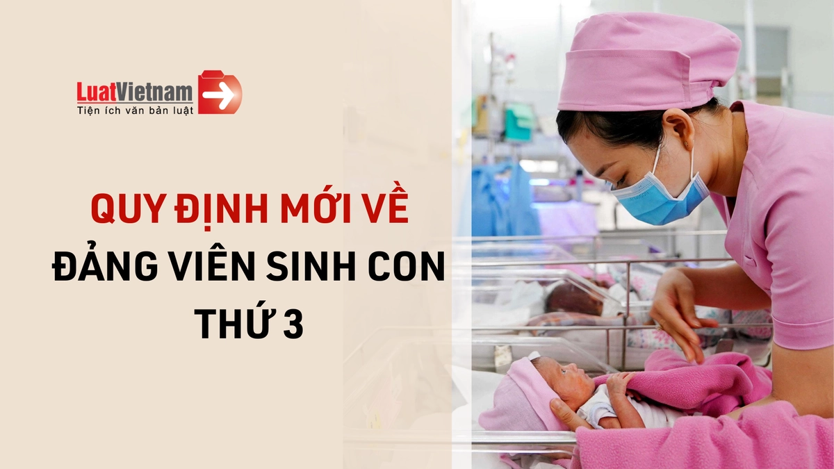 Hướng dẫn mới nhất về kỷ luật Đảng viên sinh con thứ 3