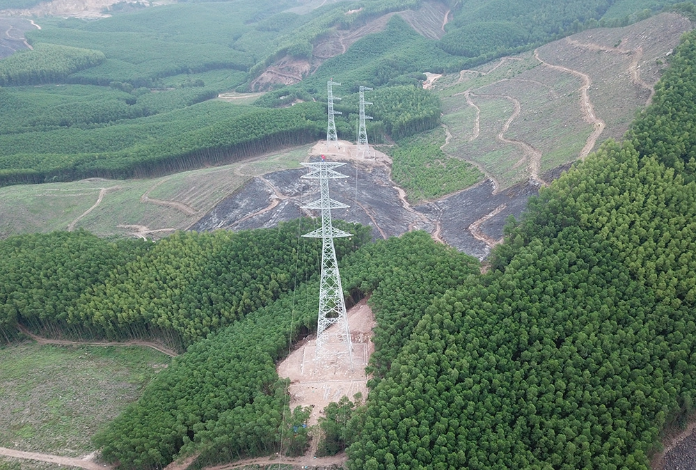 Giá đền bù đất rừng sản xuất [Mới nhất 2023]