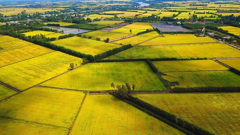 [Cập nhật 2023] Giá đền bù đất 50 năm thế nào?