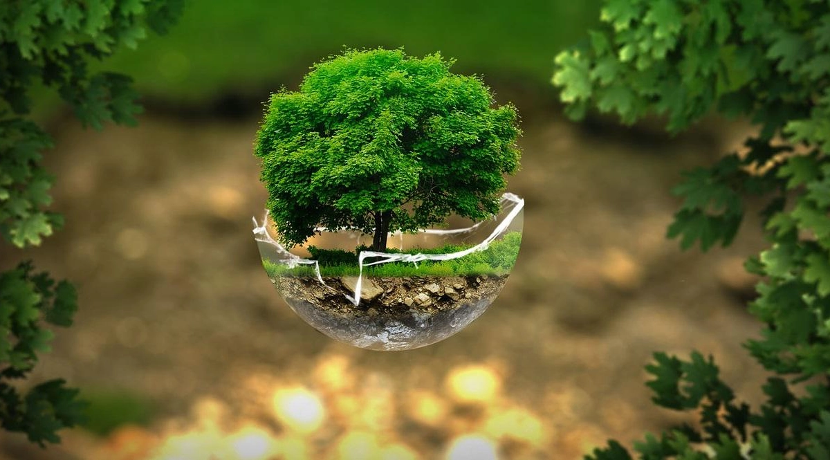 Các chính sách mới về môi trường có hiệu lực từ tháng 9/2023