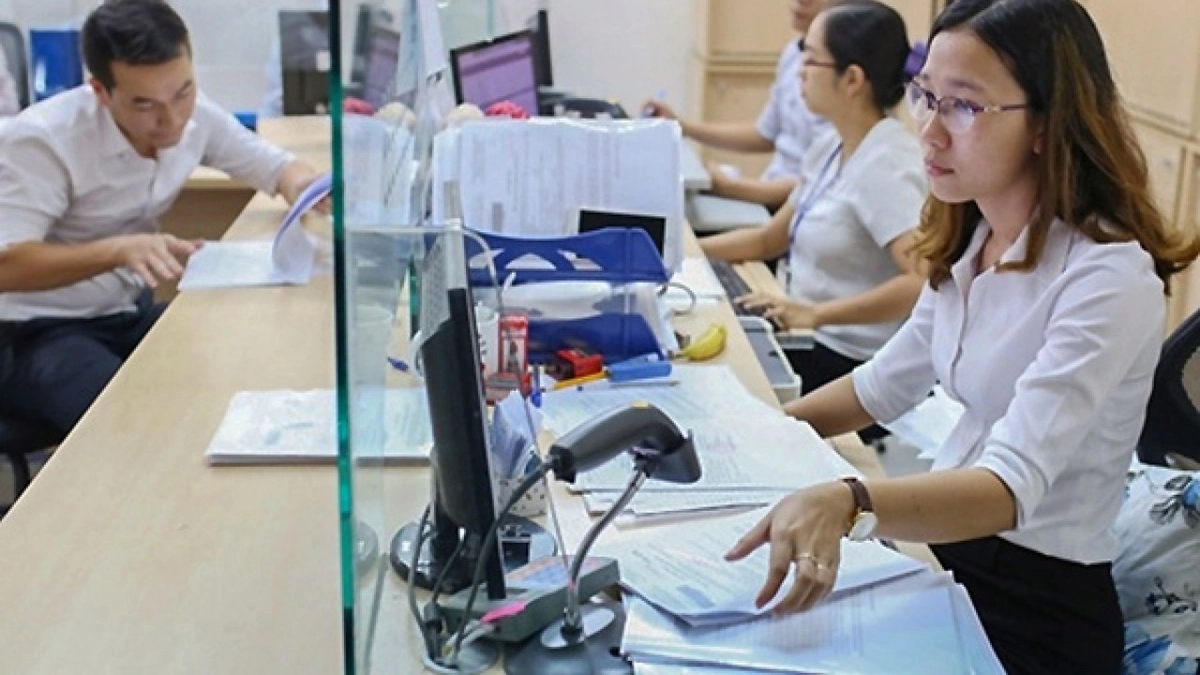 Hướng dẫn 12 vị trí việc làm công chức nghiệp vụ văn phòng